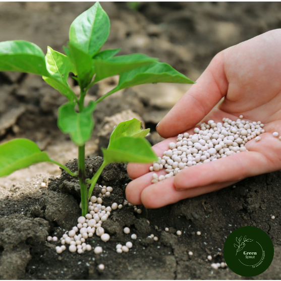 [BUNDLE OF 2] NPK 15-15-15 Granular Compound Slow-release Fertilizer ...