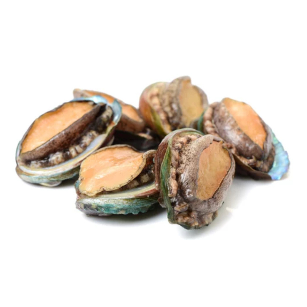 Fisher's Catch Abalone in Shell 1kg - Frozen | Shopee Singapore