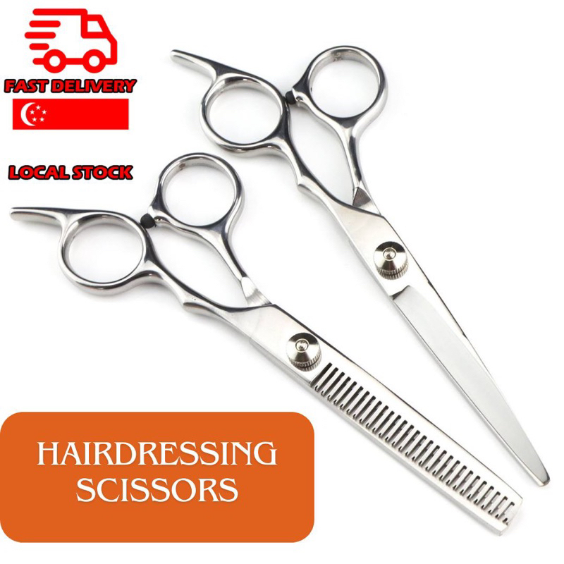 🇸🇬SG Ready Stock🇸🇬 Professional Hair Dressing Stainless Steel Hair ...