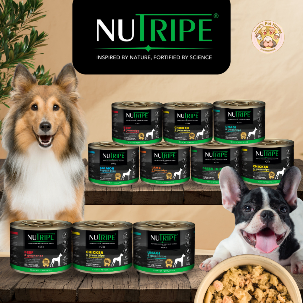 Mix & Match Nutripe Pure (Gum-Free) with Green Tripe 185g Canned Wet ...
