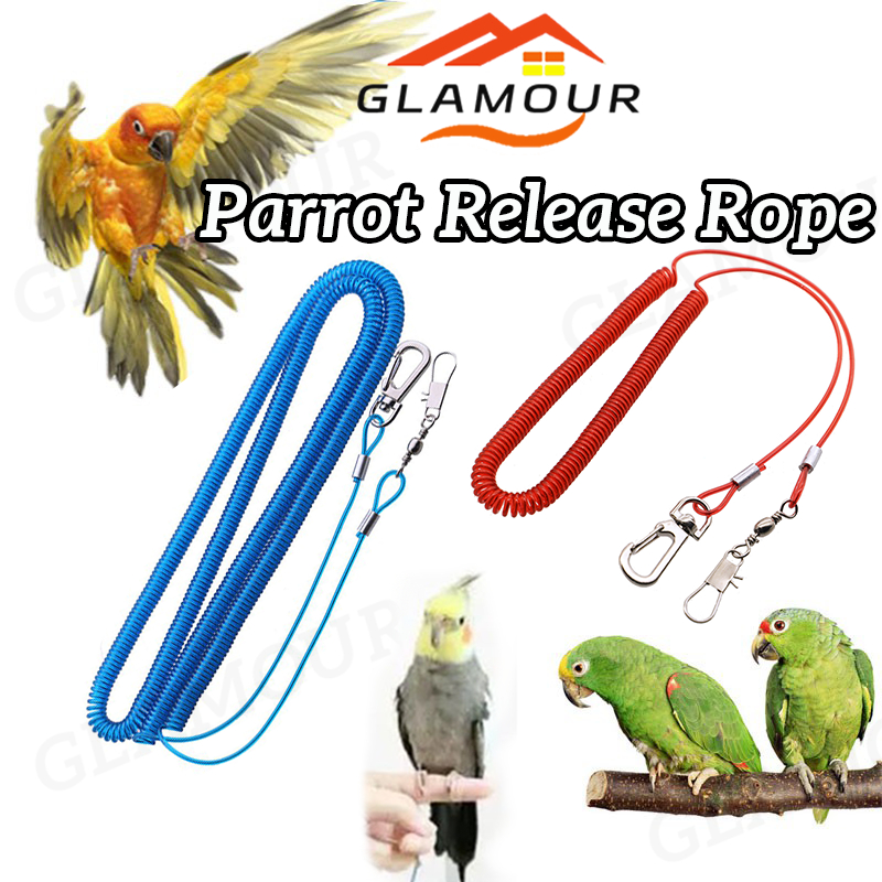 [SG] 5M 3M Love Birds Accessories Parrot Rope Ring Training Rope Birds ...