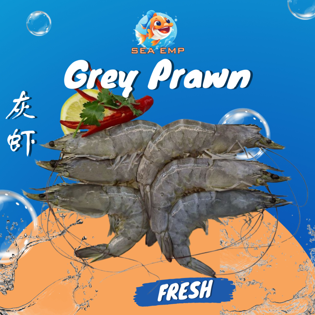 [SEA EMP] Fresh Grey Prawn 500g/1kg 灰虾 | Shopee Singapore