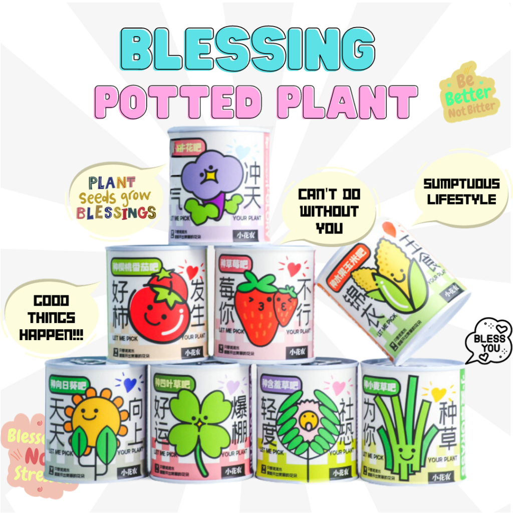 Kids DIY Plant Kit Blessing Series Easy to Grow Party Favor | Shopee ...