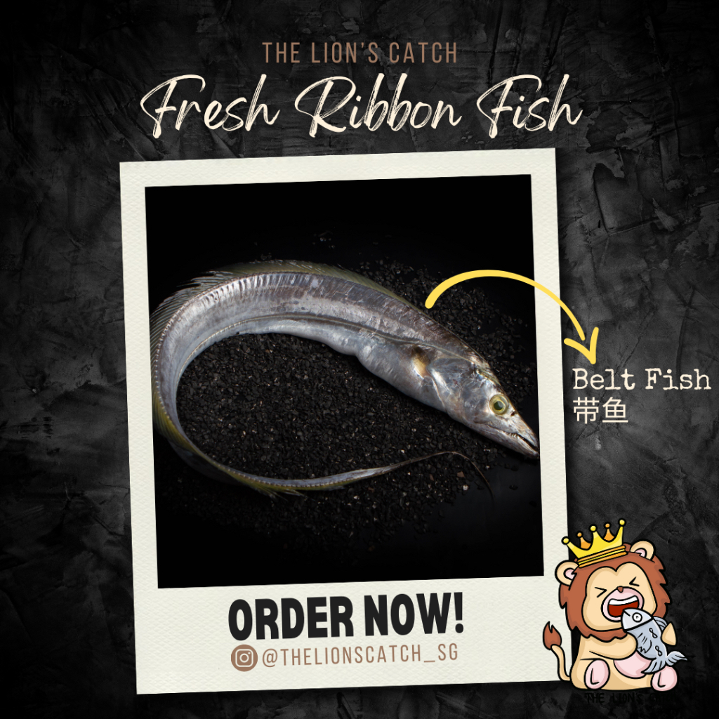 FRESH RIBBON FISH / BELT FISH (带鱼） | Shopee Singapore