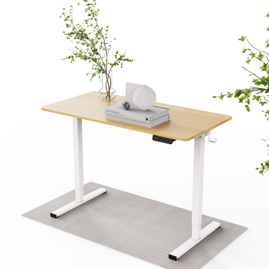 ErgonMan Electric Height Adjustable Standing Desk Study Table ...