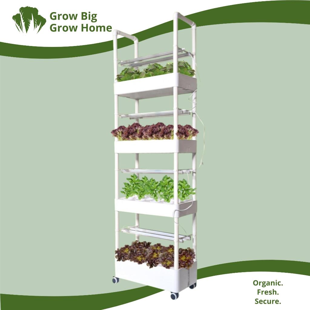 Grow Rack 56 | Home/Indoor Hydroponic System | 4-tier Soil-less Urban ...