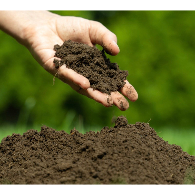 Pure Soil 3kg (10 packet) suitable for all plants garden and repotting ...