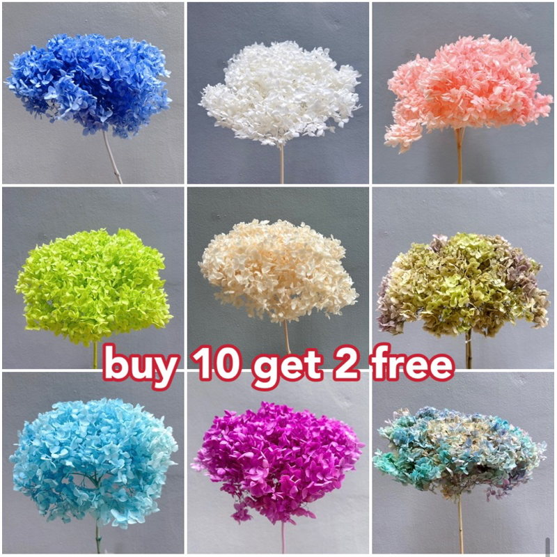 [SG Stock]Preserved Flowers Dried Flowers Preserved Hydrangeas ...