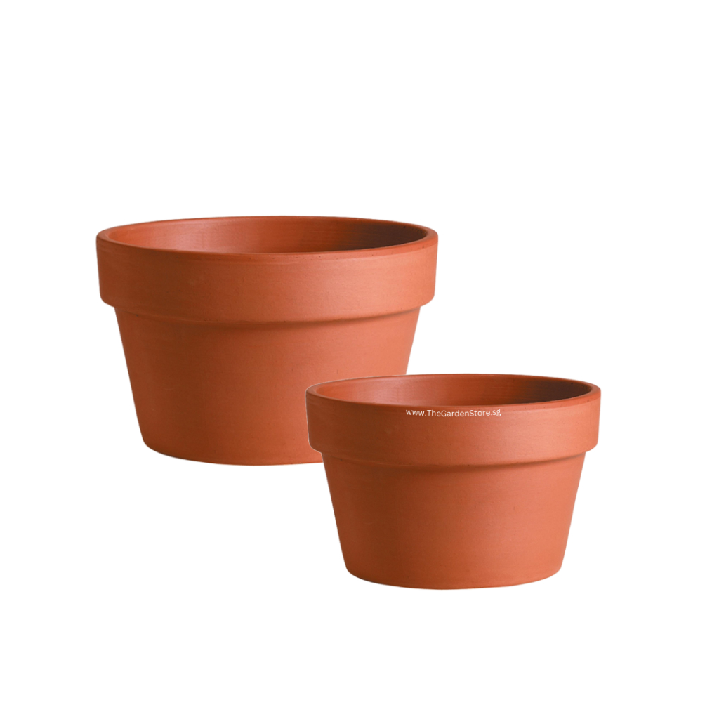 Terracotta squat pot shallow Pot - Mezzo Vaso | Shopee Singapore