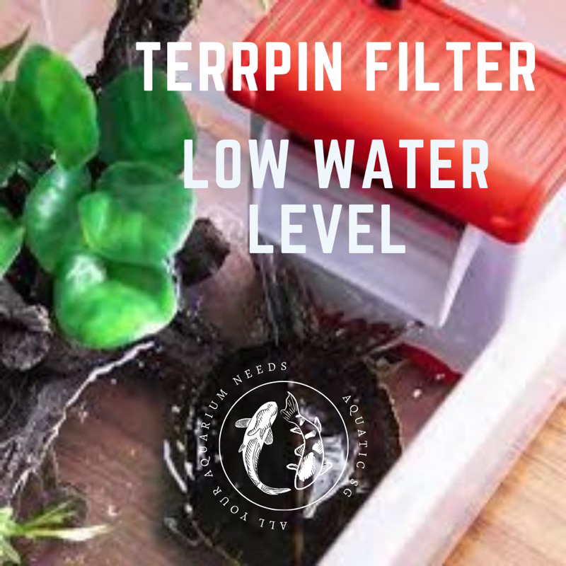 SG READY STOCK | Terrapin Filter Crab Lobster Turtle Low Water Level ...