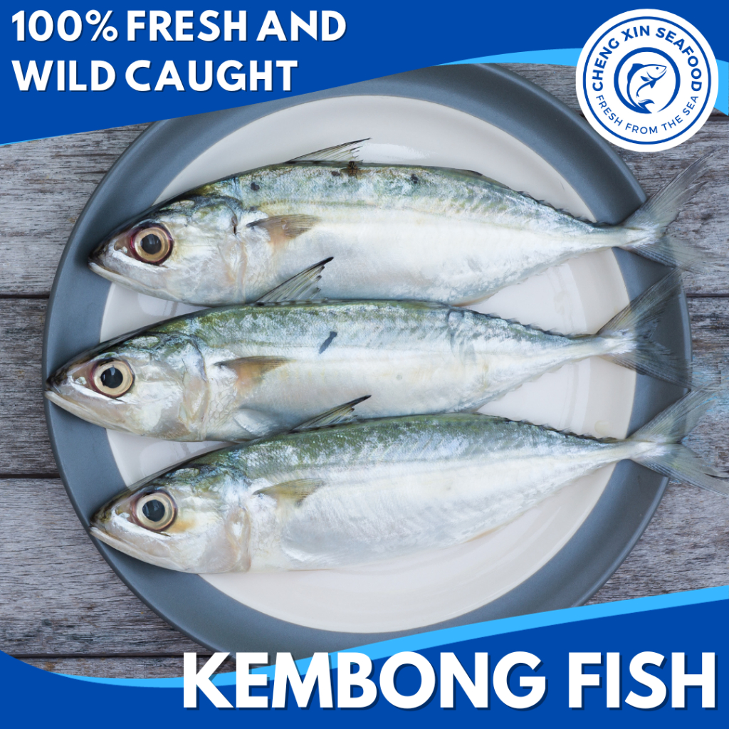 [Cheng Xin Seafood] Kembong Fish/Indian Mackerel 甘望鱼 (500g) | Shopee ...