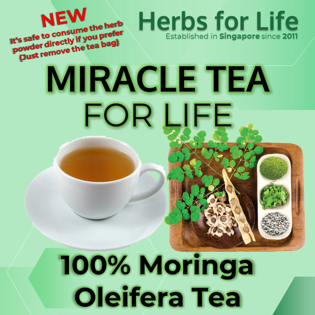 Miracle Tea for Life: 100% Moringa Oleifera Leaves Tea 辣木叶茶 | Shopee ...