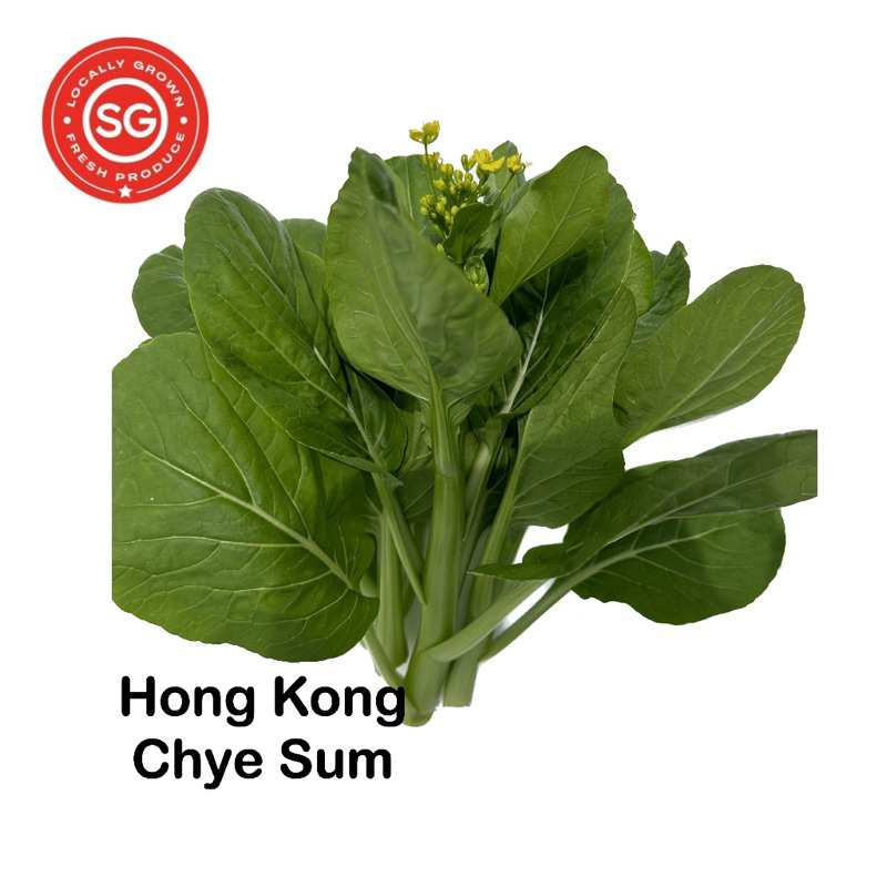 HK Chye Sim(1kg) | Shopee Singapore