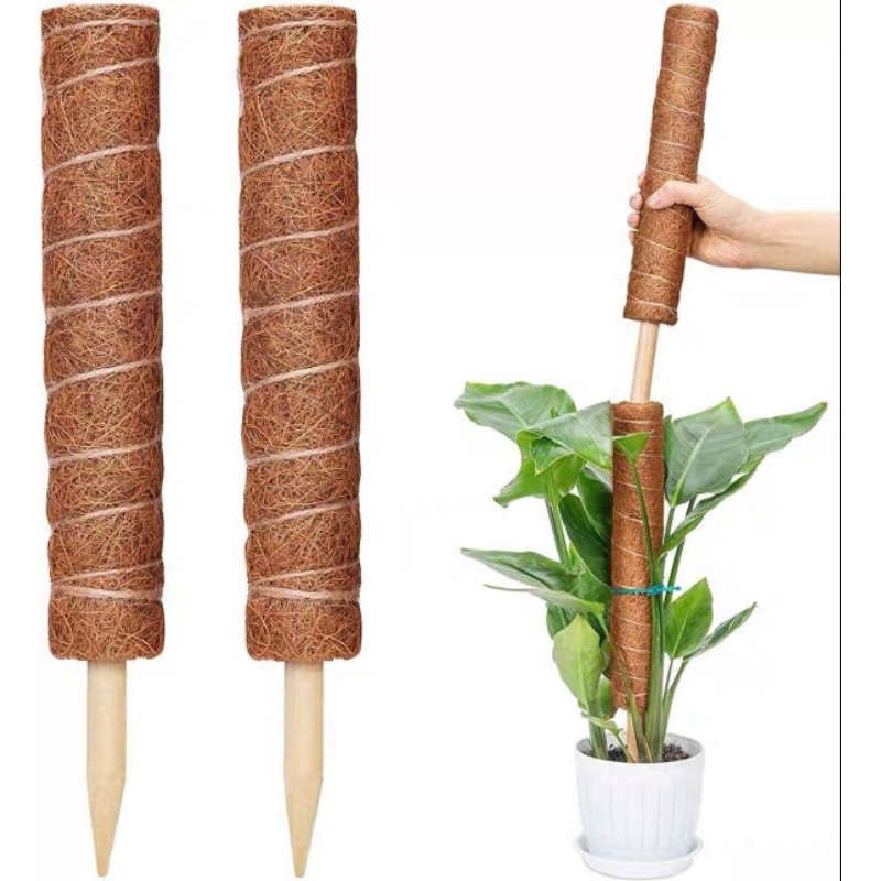 [SG Stock] Coco Coir Fibre Pole | Stackable | Extendable | Plant ...