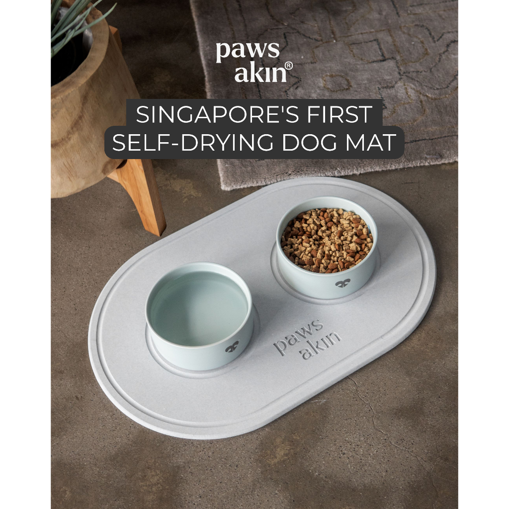 Paws Akin Instant Drying Dog Bowl Mat - Diatomaceous Earth Dog Mat ...
