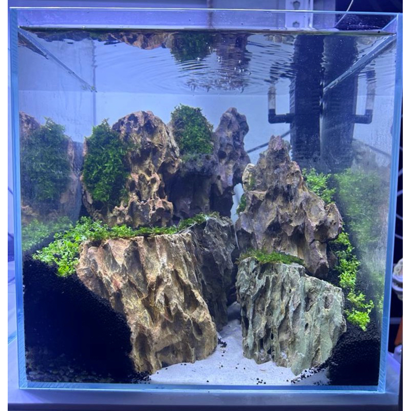 PETSONA CRYSTAL FISH TANK READY STOCK | Shopee Singapore