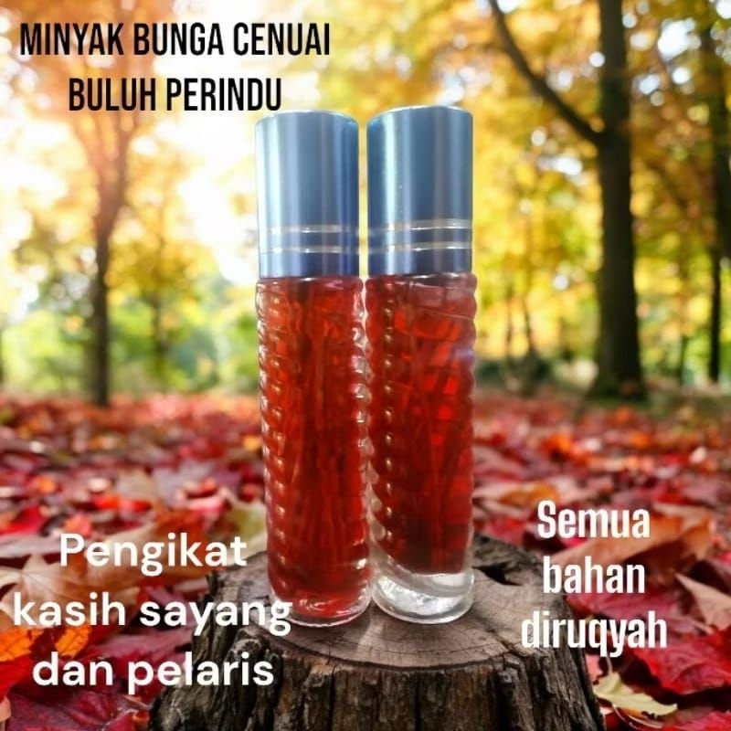 Power Rare Item! Minyak Bunga Cenuai Buluh Perindu Original (Boost Your ...