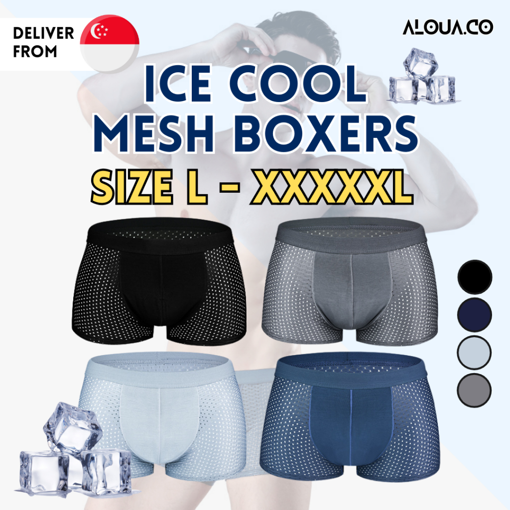 【ALOUA.CO】Ice Mesh Breathable Men Boxers Underwear | Shopee Singapore