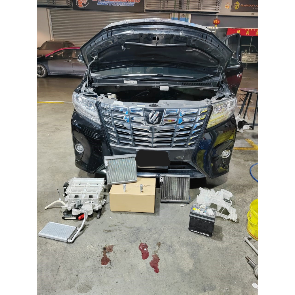 Toyota Alphard Cooling Coil & Valve Replacement (Front & Rear) | Shopee ...