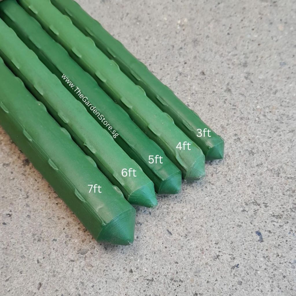 PE Coated Plant Support Stick 3ft 4ft 5ft 6ft 7ft 8ft Support Pole ...