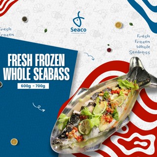 Seaco Official Store, Online Shop Jan 2024 | Shopee Singapore