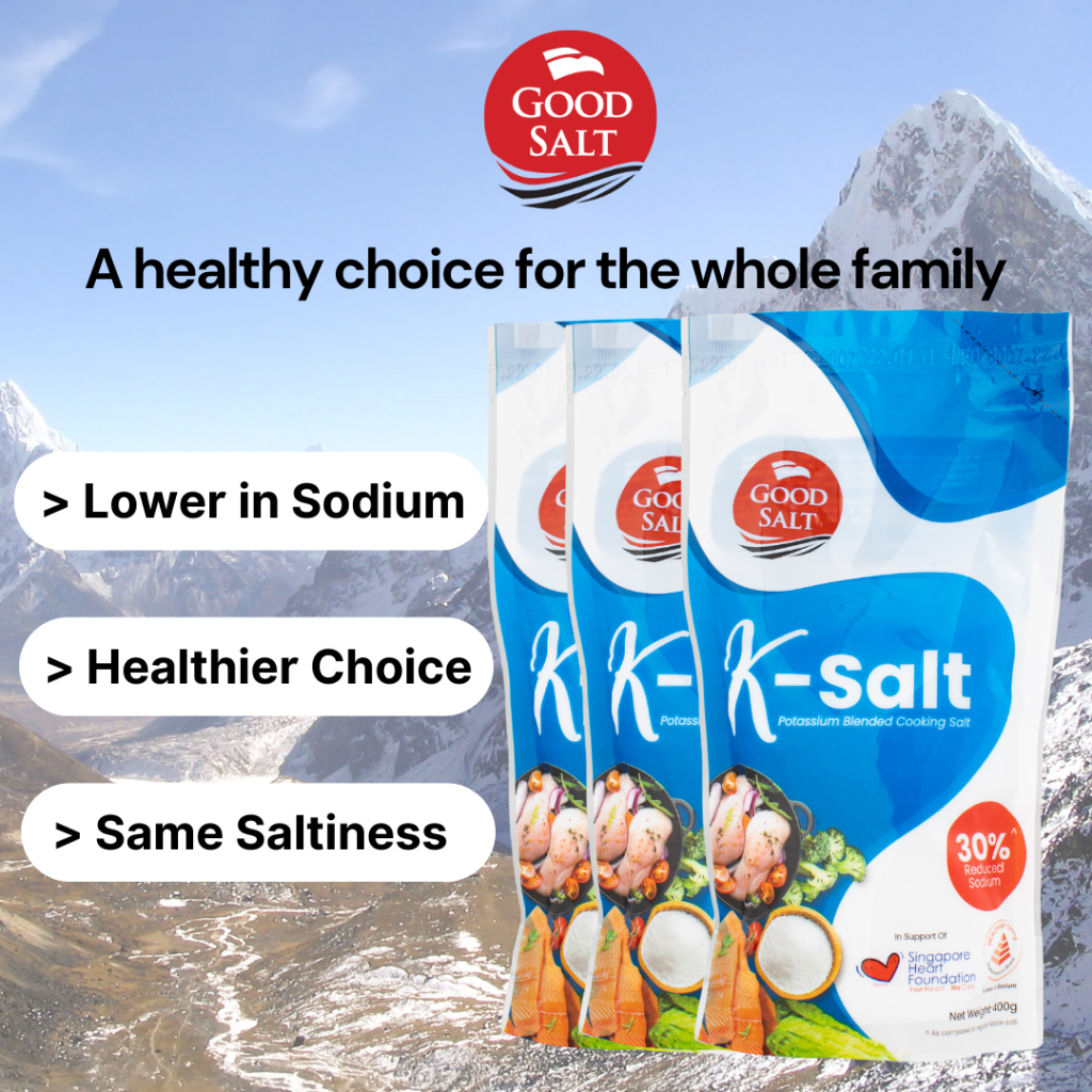 [Value Pack] GoodSalt K-Salt Potassium Blended Cooking Salt 400g ...