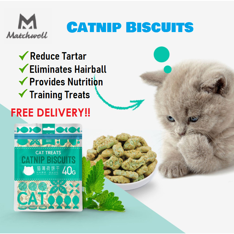 Local High Nutrition Cat Treats Cat Food Cat Biscuit Catnip Biscuits ...