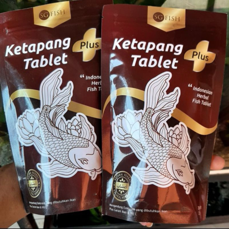 KTeam Betta Ketapang Tablets suitable for all Betta Fishes 2 x bundle ...