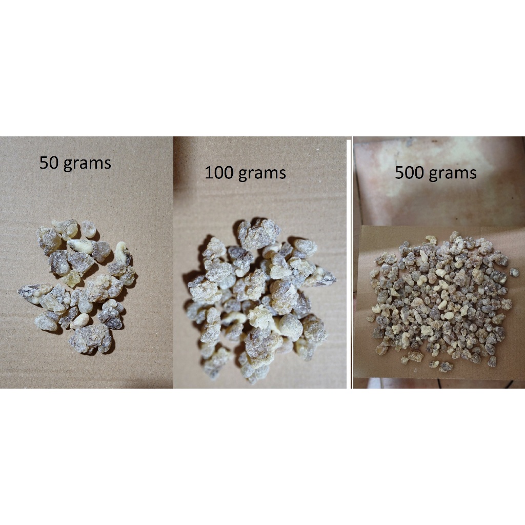 QT ROYAL HOJARI FRANKINCENSE WHITE LARGE RESINS FROM OMAN (finest) with ...