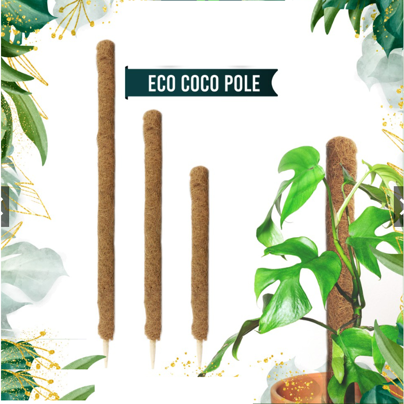 [SG Stock] Coco Coir Grow Pole Honeycomb Moss Climbing Pole Plant ...