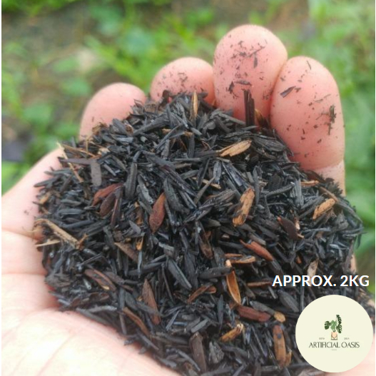 Burnt Rice Husk 5 Litres By Artificial Oasis (Approx. 2kg) | Shopee ...