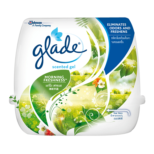 Glade Room Air Freshener Scented Gel 180g (Assorted Scents) | Shopee ...