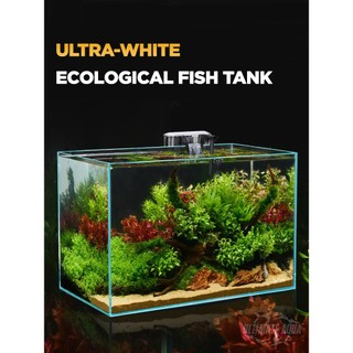 2L Starter Aquarium Fish Tank Complete With Led Light And Bacteria ...