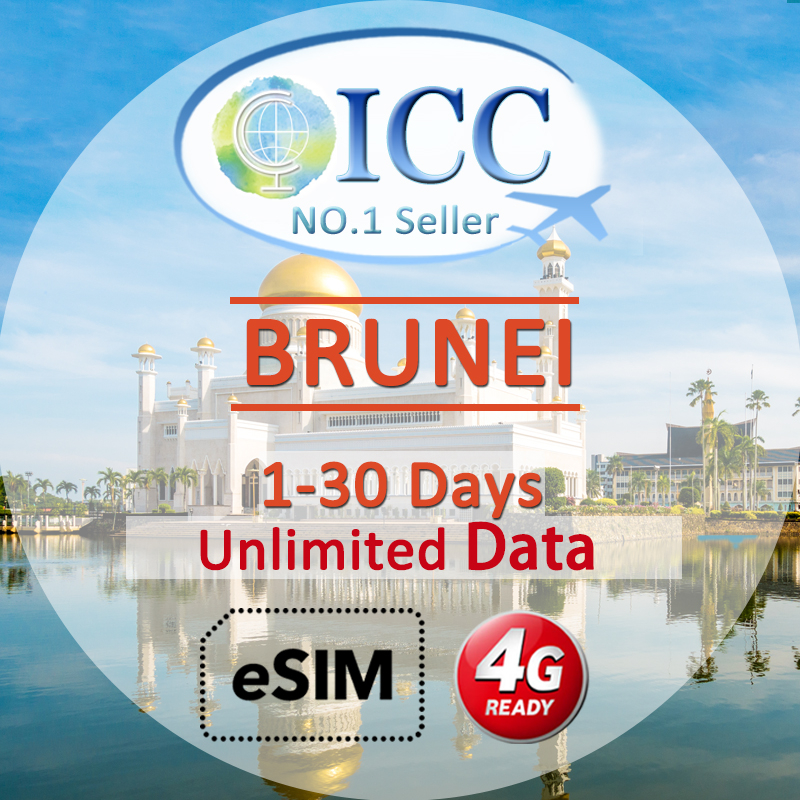 ICC eSIM_Brunei 1-30 Days Unlimited Data SIM | Shopee Singapore