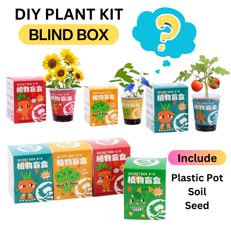 SG Local Blind Box DIY Mini Plant Kit for Kids random Box including ...