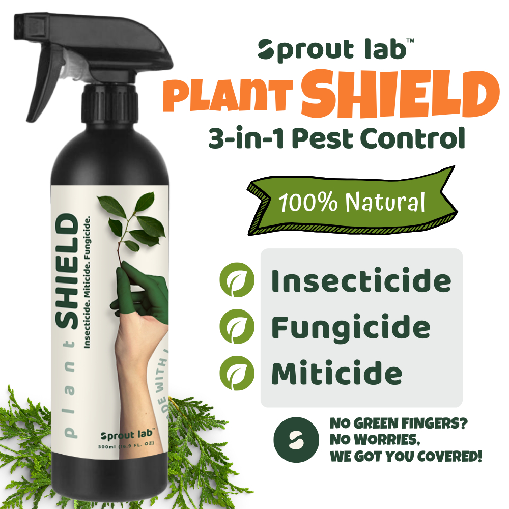 Sprout lab | Plant SHIELD Natural Plant Spray | 3 in 1 - Insecticide ...