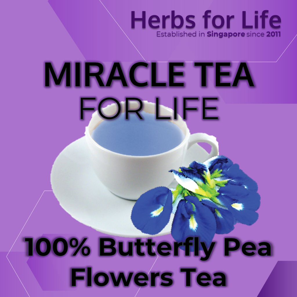 Miracle Tea for Life: 100% Butterfly Pea Flowers Tea 蝴蝶豌豆茶 | Shopee ...