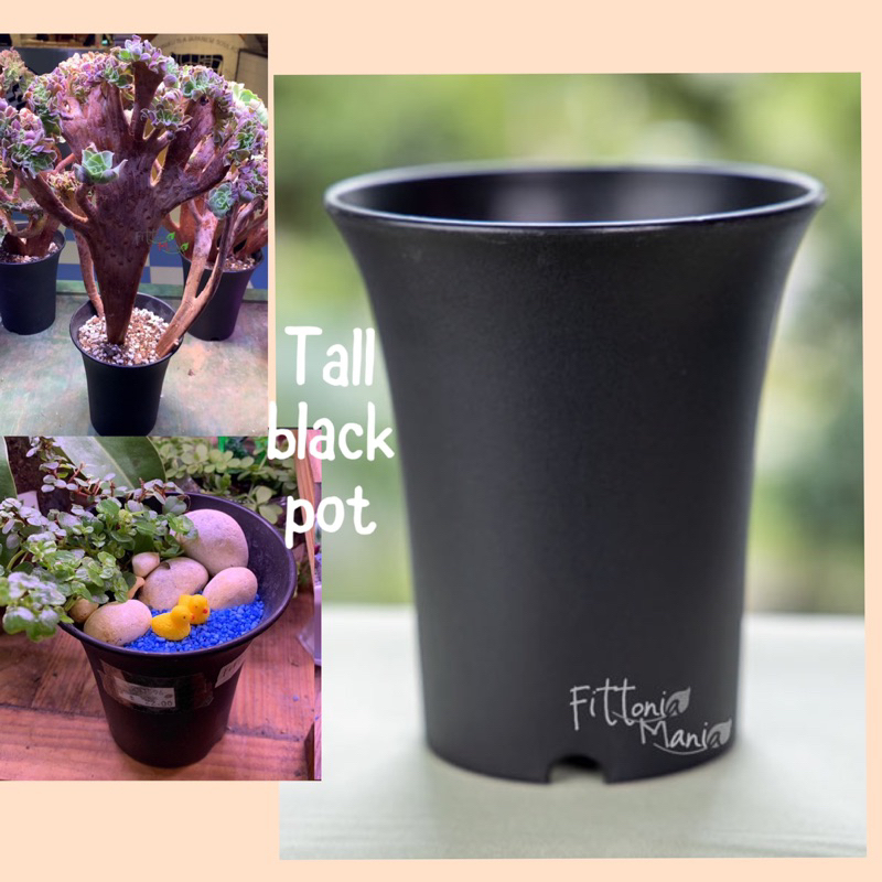 Tall black plastic pot succulent pot tall plant pot | Shopee Singapore