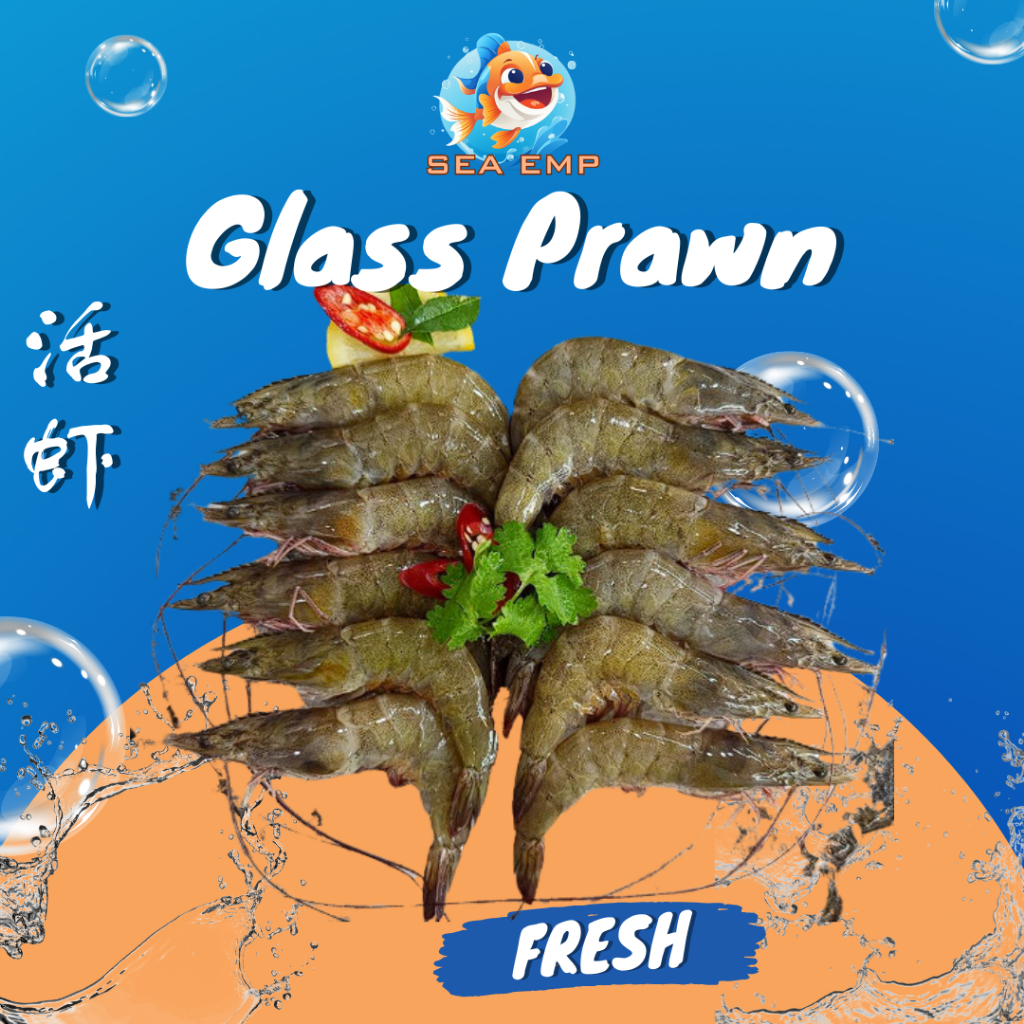 [SEA EMP] Fresh Live Glass Prawn 500g/1kg 活虾 | Shopee Singapore