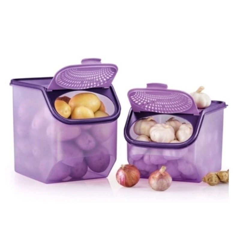 Tupperware Garlic Keeper 5.0L | Shopee Singapore