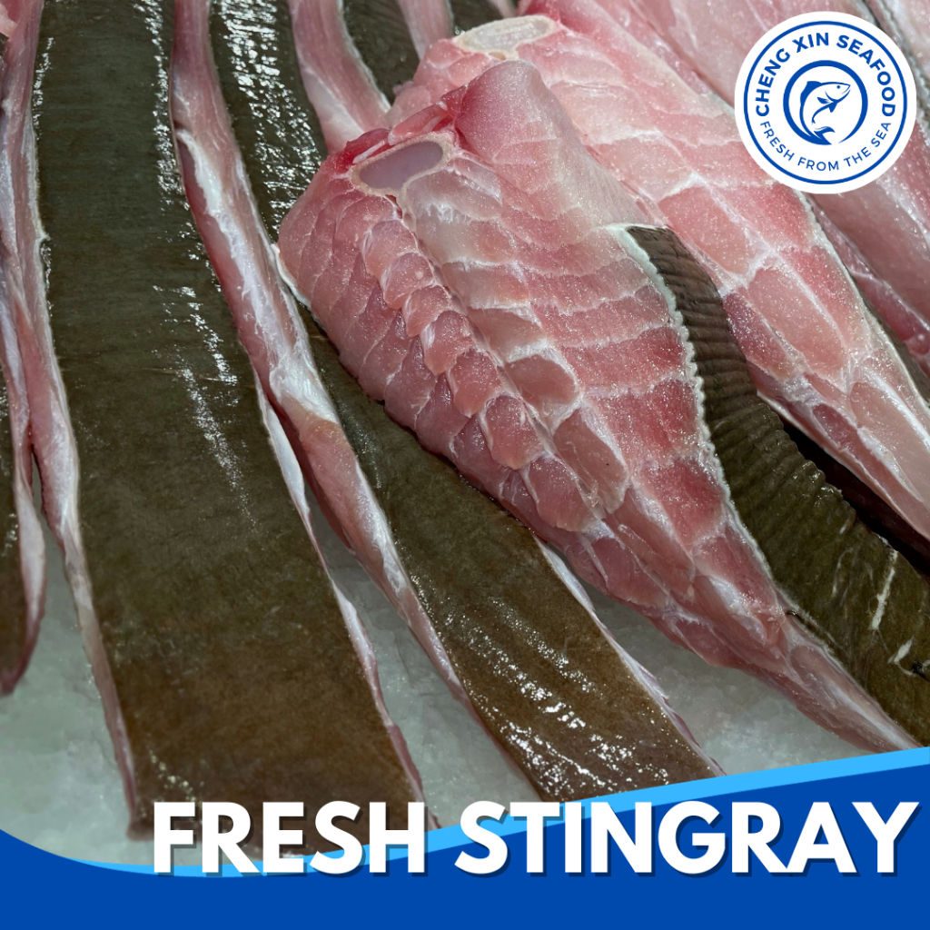 [Cheng Xin Seafood] Fresh Stingray Meat 魔鬼鱼 (300g-350g) | Shopee Singapore