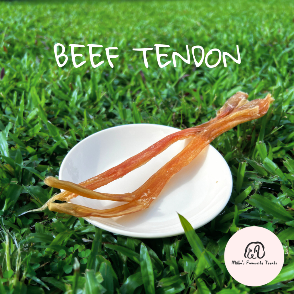 Beef Tendon Chews (All Natural, Single Ingredient, No Preservatives ...