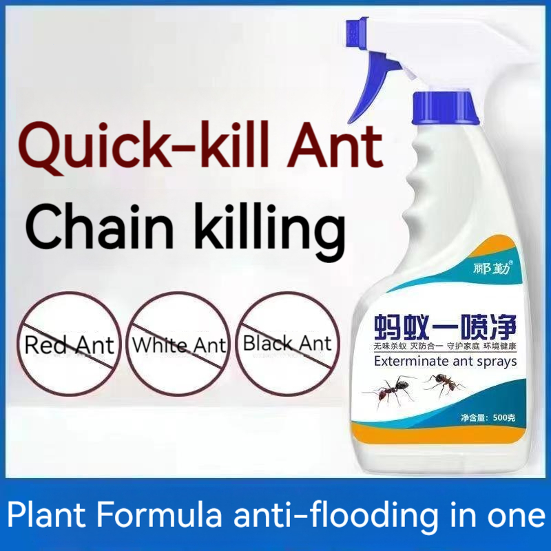 Ant killing spray500 ML/Ant killing medicine/Ant removal/Household ...