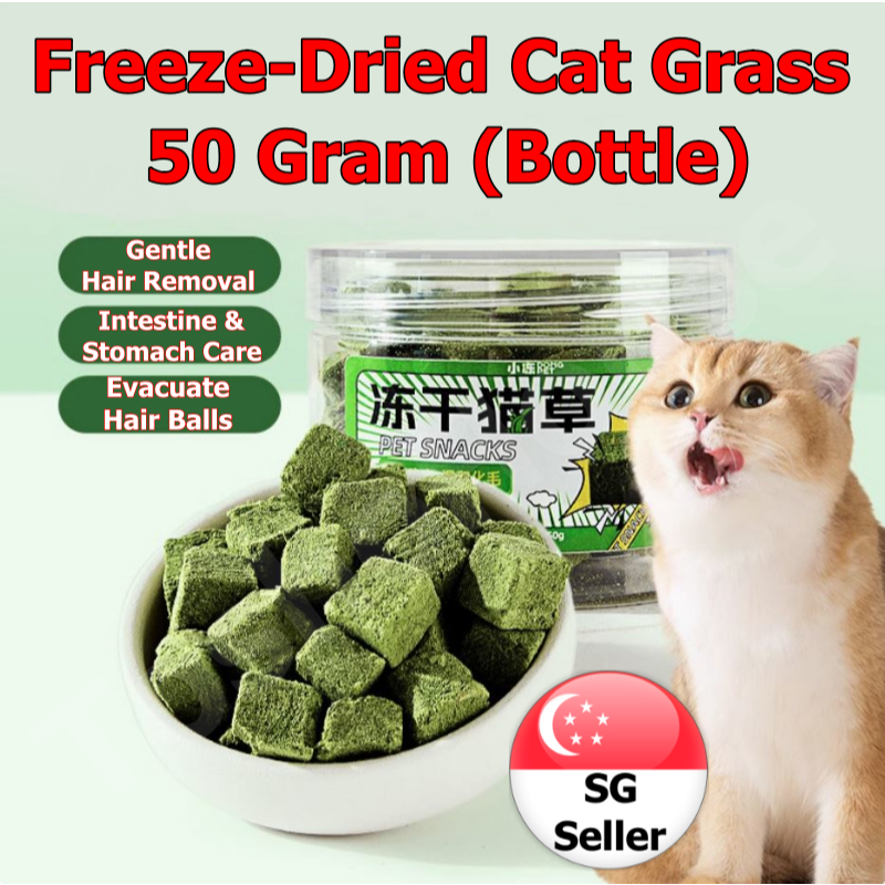 [SG Seller] Freeze Dried Cat Grass Cubes Snack for Cat Gentle Hair ...