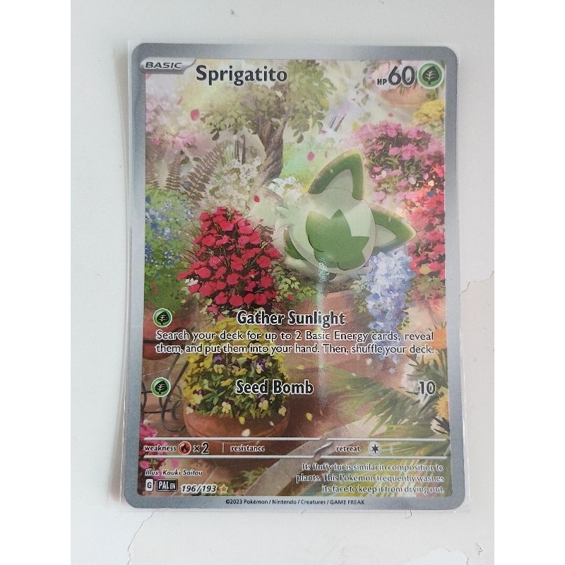 Pokemon sprigatito illustration rare paldea evolved card | Shopee Singapore