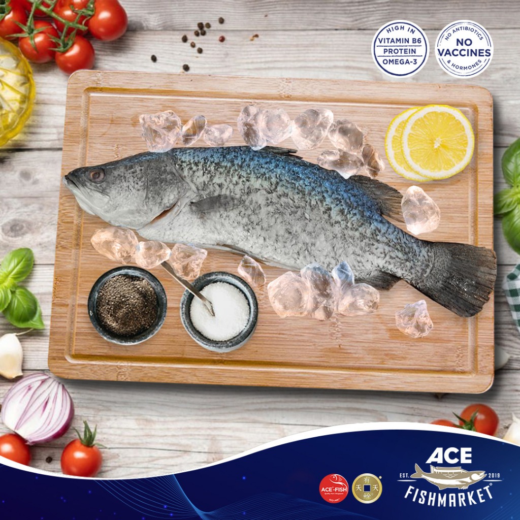 ACE Sea Bass Fresh Frozen | Shopee Singapore