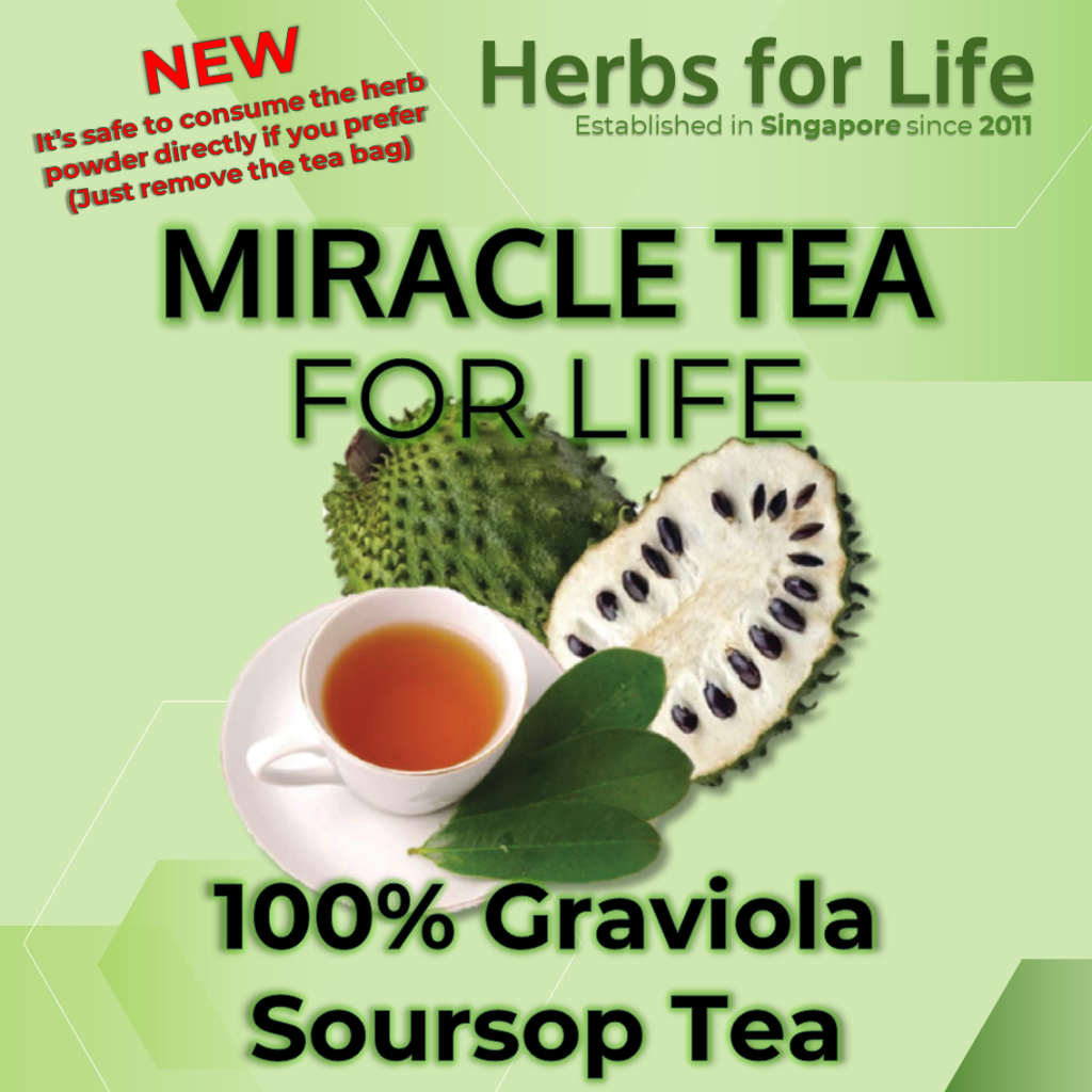 Miracle Tea for Life: 100% Graviola Soursop Tea 红毛榴莲茶 | Shopee Singapore