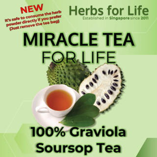 Miracle Tea for Life: 100% Graviola Soursop Tea 红毛榴莲茶 | Shopee Singapore