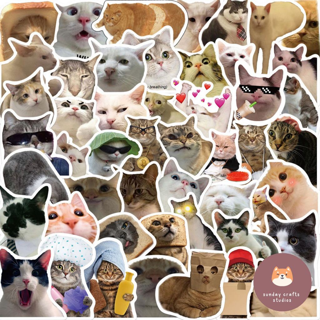 [SG] ️ 50-62pcs Funny Cat Meme Stickers /5 Designs | Shopee Singapore