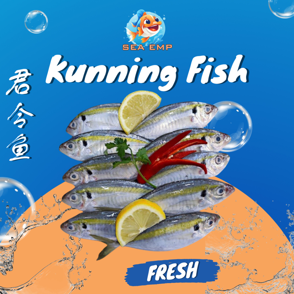 [SEA EMP] Fresh Kunning Fish 500g/1 kg 君令鱼 | Shopee Singapore